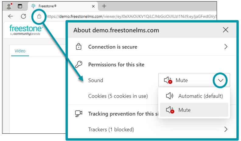 Adjusting Sound Setting in Browser – Freestone Learner Support